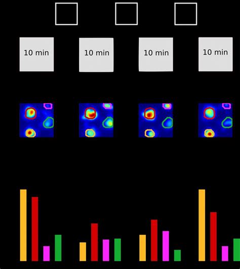 Remapping Of Grid Cell Firing Rates A Schematic Drawing Of The
