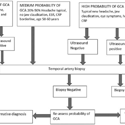 Summary Of Us Studies For Gca Diagnosis Download Scientific Diagram Summary Of Us Studies For Gca Diagnosis Download Scientific Diagram