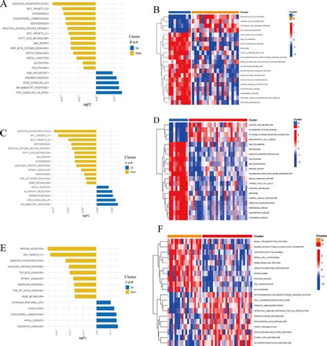 biological characteristics of m⁶a modification clusters the