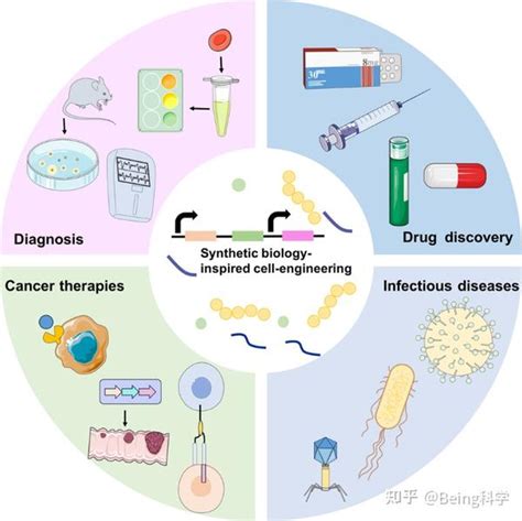 “创意拼图” 合成生物学应用篇 知乎