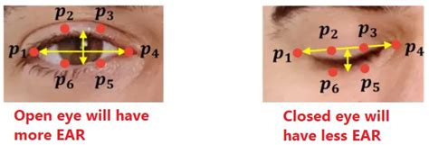 Real Time Head Pose Estimation Facemesh With Mediapipe And Opencv A Comprehensive Guide By
