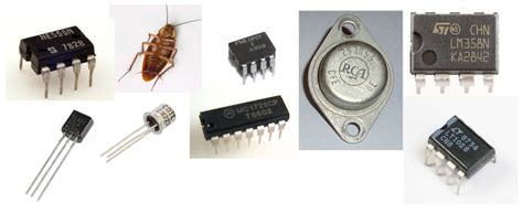 Cockroach Components Electronic Projects For Fun