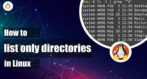 How To List Only Directories In Linux With Examples Linux Genie