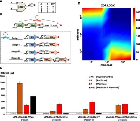 design and characterisation of biological xor gates a the logic output
