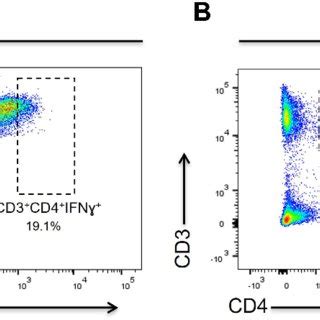 Representative Dot Plots Of Flow Cytometry Data Figure Shows A