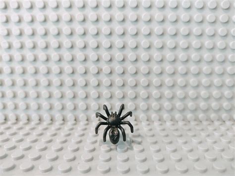 Lego Tiere Spinne