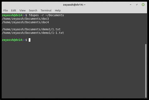 How To Find And Remove Duplicate Files On Linux Using Fdupes