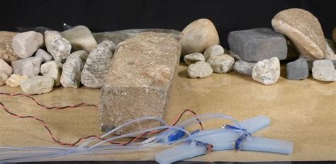 Meet The Soft Robots That Can Amputate Limbs And Fuse With Other Robots Techcrunch