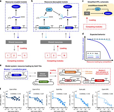 Feedforward Control Strategy To Decouple Modules That Share Limited Download Scientific Diagram