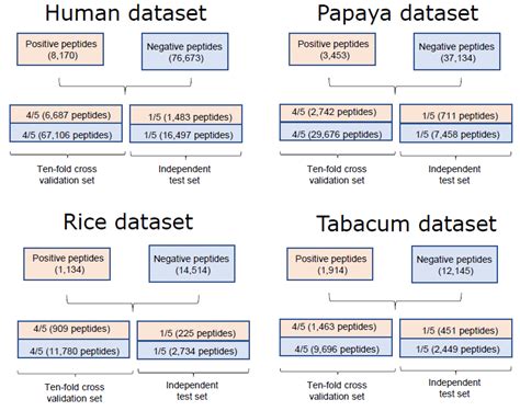 Separation Of The Datasets For The Four Organisms Into The