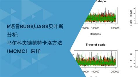 R语言bugsjags贝叶斯分析 马尔科夫链蒙特卡洛方法（mcmc）采样教育职业教育好看视频