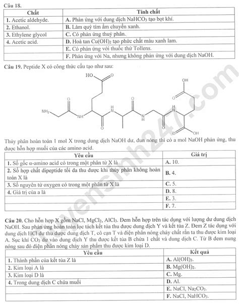 Đề minh họa kỳ thi V-SAT 2025 - Tất cả các môn (Có đáp án)