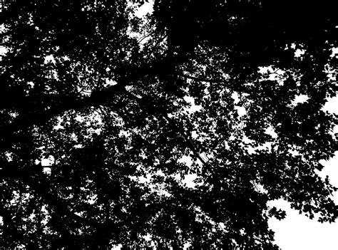 Free Tree Gobos 3d Render Nl