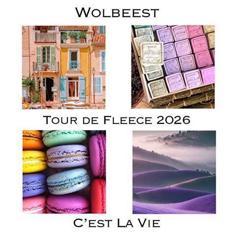Tour De Fleece 2026 Cest La Vie Garen Editie Atelier Het Wolbeest
