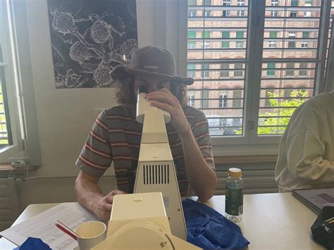 Tissue Array Diagram Quizlet