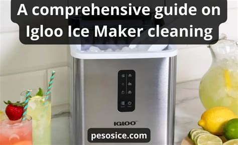 Igloo Ice Maker Cleaning Top 5 Steps And Best Helpful Guide
