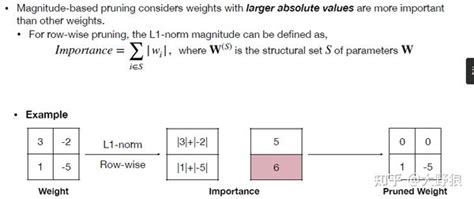 Mit Tinyml学习笔记【1】pruning 知乎