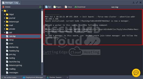 Exploring Docker Engine Deployment Modes For Accuweb Cloud