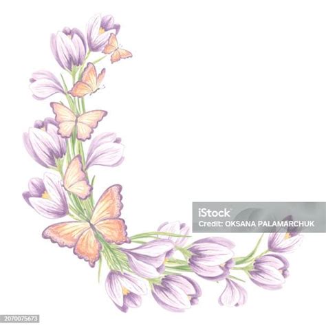 나비와 크로커스 꽃의 둥근 프레임 고립 된 손으로 그린 수채화 그림입니다 사프란의 꽃 봄 화 환입니다 어머니의 날 3 월 8 일 부활절의 엽서에 대 한 복사 공간이있는