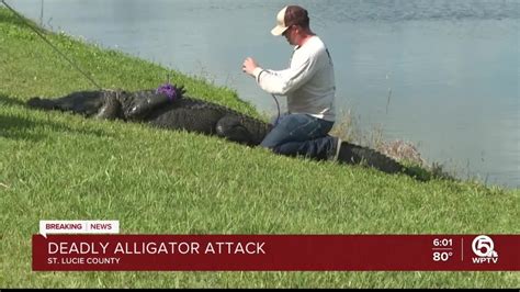 Elderly St Lucie County Woman Killed By Alligator Youtube