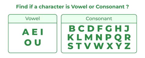Vowel Check Using Switch Case