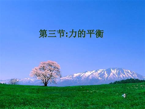 二力平衡复习课word文档在线阅读与下载无忧文档