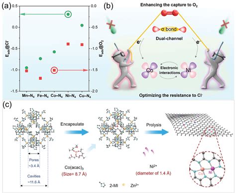 A The Theoretical Calculation Results For Eads Of The O2 And Cl⁻ Download Scientific Diagram