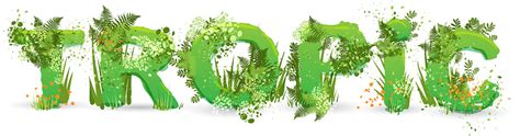 녹색 가지 잎 잔디와 덤불 옆에 흰색에 고립 된 열대 우림으로 양식에 일치시키는 대문자로 단어 트로픽의 벡터 그림 0명에 대한 스톡 벡터 아트 및 기타 이미지 Istock