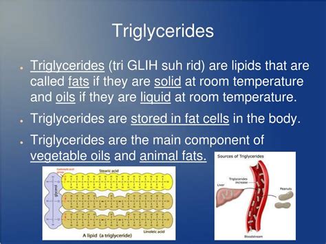 Ppt Organic Chemistry The Building Blocks Of Life Chapter 64