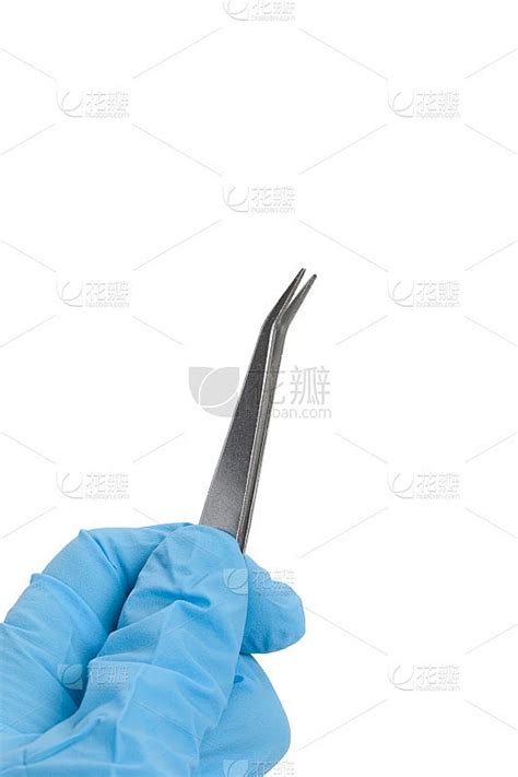镊子素材 花瓣网