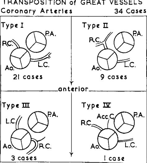 Jatene Procedure Semantic Scholar