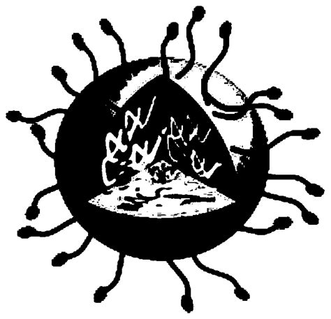 Conjugated Polymer And Aggregation Induced Emission Micromolecule Co Doped Nano Particles And