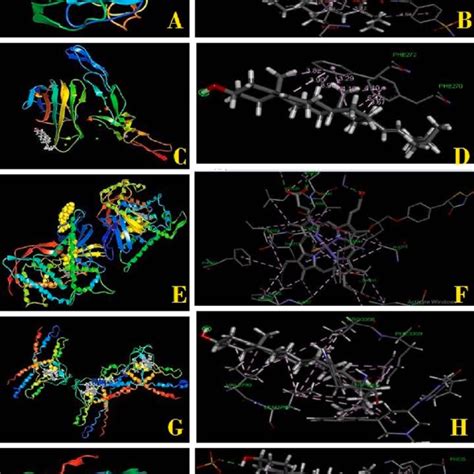 Glide Docking Pose Of Stigmasterol Molecule In The Active Binding Site