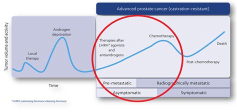 Determining The Best Support For Crpc Patients The Nurse Perspective