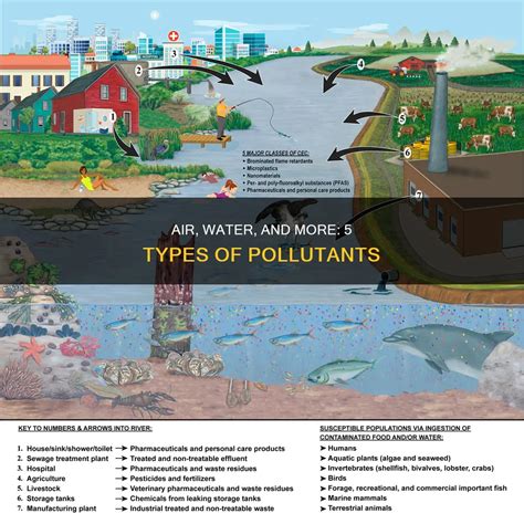 Air Water And More 5 Types Of Pollutants Shunwaste