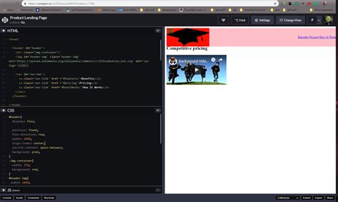 Flex Basis Won T Shrink Image In Flexbox HTML CSS The FreeCodeCamp Forum