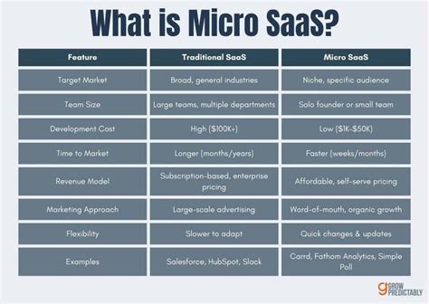 21 Successful Micro Saas Examples For 2025 Profitable And Inspiring