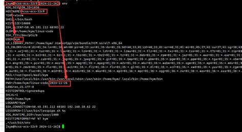 【linux课程学习】：《简易版shell实现和原理》 《哪些命令可以让子进程执行，哪些命令让shell执行（内键命令）？为什么？》 Csdn博客