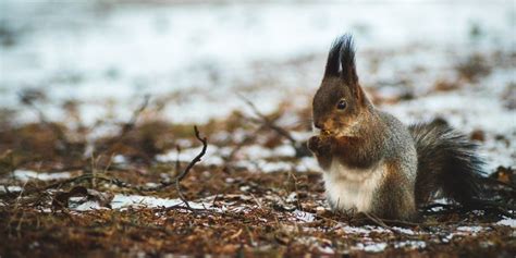 Погода в Україні — Коли різке похолодання і мороз більше ніж 20 в грудні — Новини України Nv