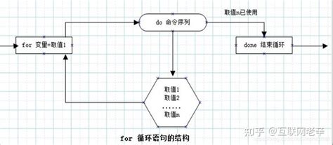shellshell脚本实战 for循环 知乎