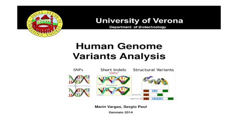 Pdf Human Genome Variants Analysis Bioinformaticsmolsim Sci Univr