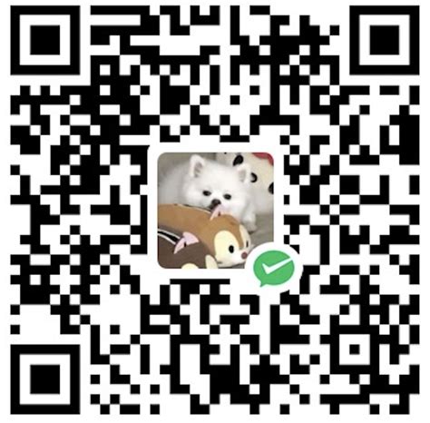xwiki platform系统远程代码执行漏洞 cve 2025 24893 hacker进化论