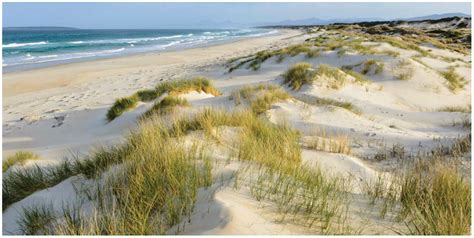 Depositional Landforms Year 8 Geography