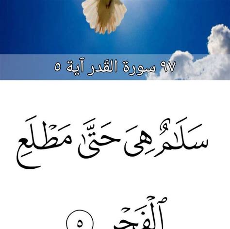 فارس العرب Cairo