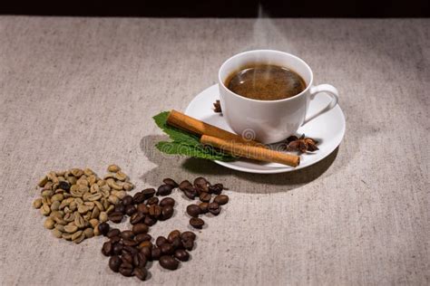 Java Beans Stock Image Image Of Background White Cultivated 32497