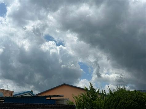 자기조절이 중요한 시대 네이버 블로그