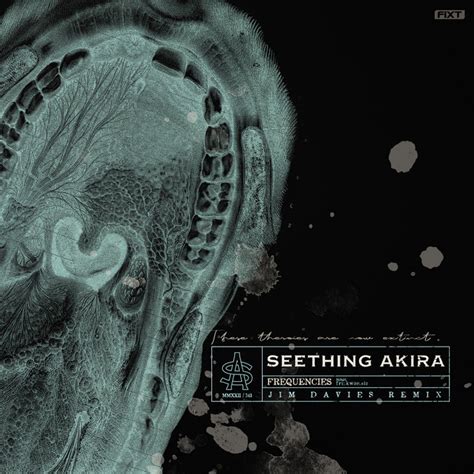 Frequencies Jim Davies Remix Single Seething Akira