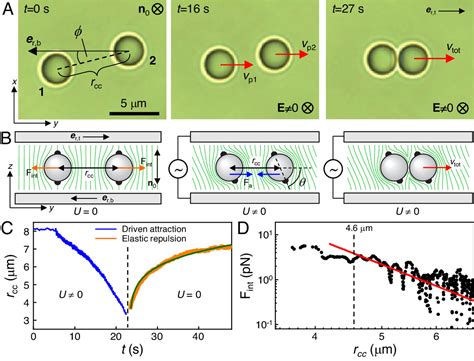 Out Of Equilibrium Interactions And Collective Locomotion Of Colloidal Spheres With Squirming Of