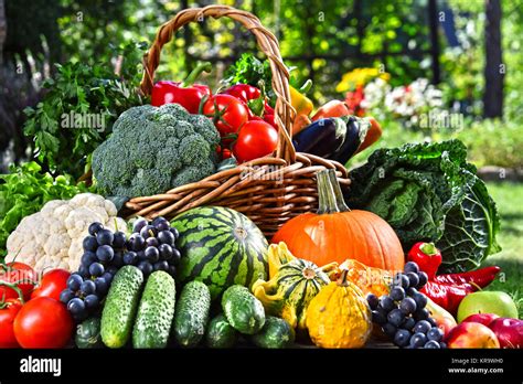 Variety Of Fresh Organic Vegetables And Fruits In The Garden Stock