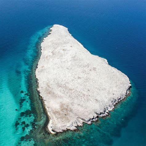 4 Aerial View Of Gaviota Island Where We Conducted Field Practice On